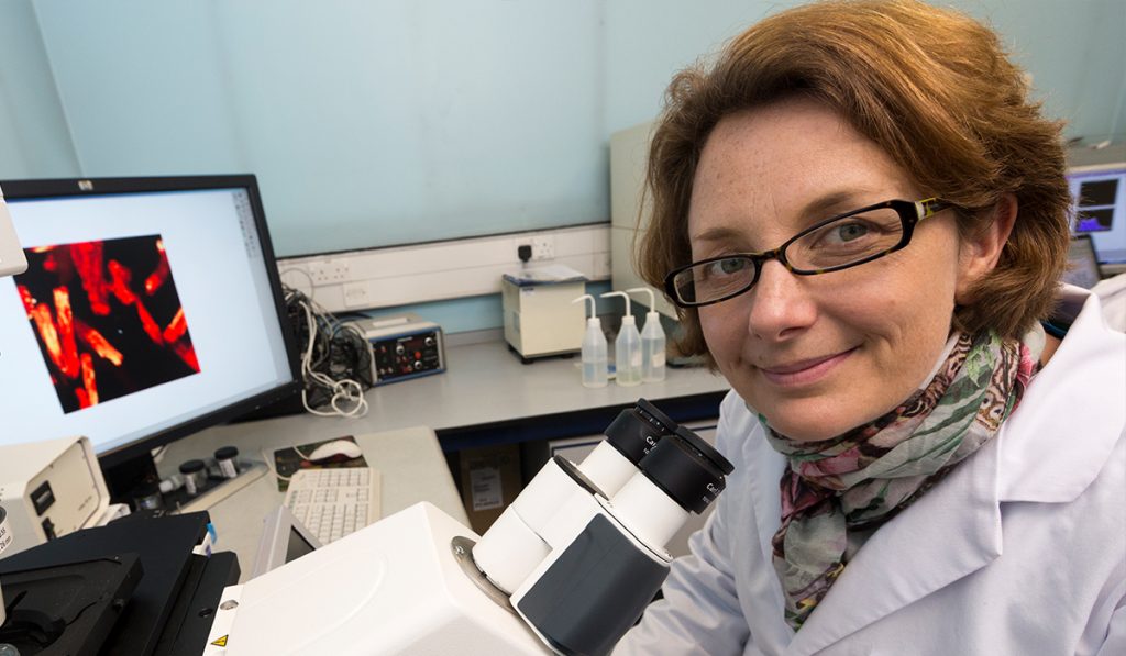 Home - Big Innovation Center