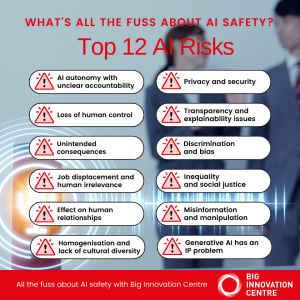 What’s all the fuss about AI Safety? Mapping the top-12 AI risks ahead ...